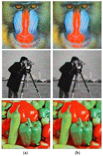 Image Denoising Using Hybrid Deep Learning Approach And Self Improved