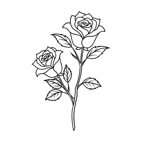 Roses Outline On White Background Premium Ai Generated Vector