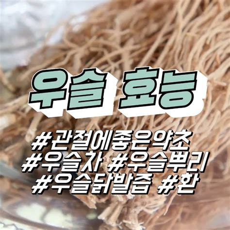 관절에 좋은 약초 우슬 효능 우슬뿌리 먹는법 및 부작용 우슬차 우슬닭발즙 환 네이버 블로그