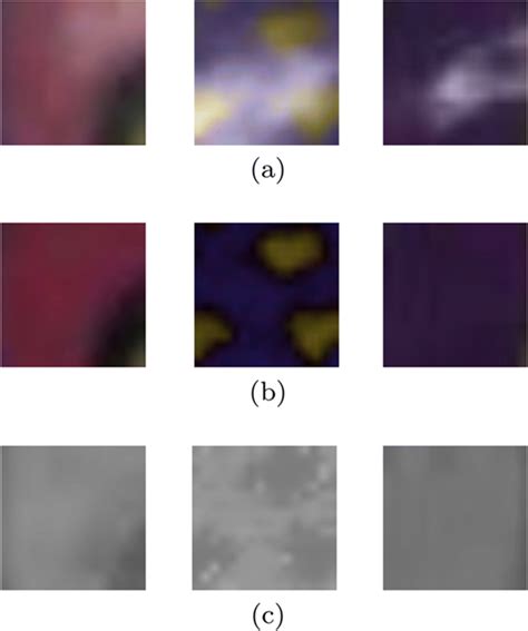 Dataset Of Patches With The Size Of 16 × 16 A Original Patches B Download Scientific