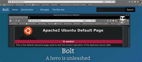 Bolt Tryhackme Walkthrough Remote Code Execution Hacking