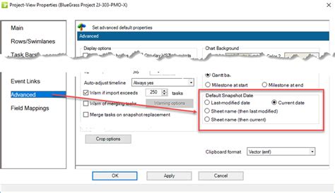 advanced tab for onepager express for version 6 0 onepager documentation