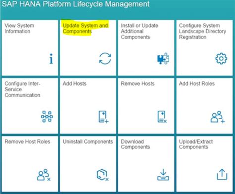 Sap Hana Upgrade Basis Guru
