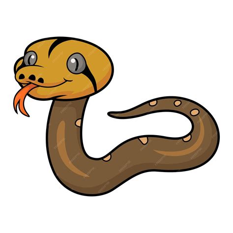 Dessin Animé Mignon Python Réticulé Enfant Doré Vecteur Premium