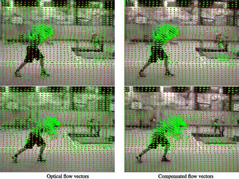 optical flow field vectors shown as green vectors with red end points