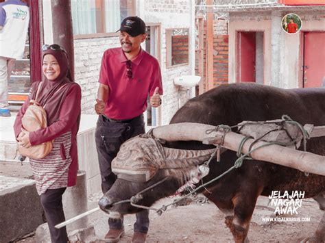 Jelajah Nagari Awak Manisnya Saka Lawang Nagari Penghasil Gula Tebu Tradisional Di Ranah Minang