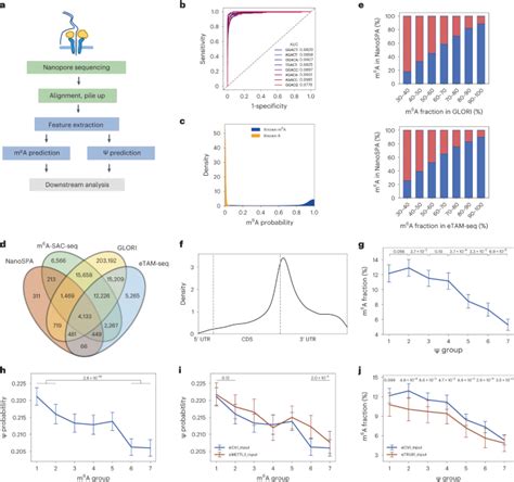 Simultaneous Nanopore Profiling Of Mrna M6a And Pseudouridine Reveals Translation Coordination
