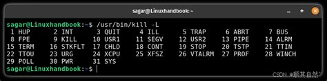 Linux命令 Kill、pkill 和 Killallpkill和kill Csdn博客