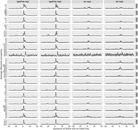 Motif Centered Analysis Ribotransvis