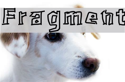 Fragment Font