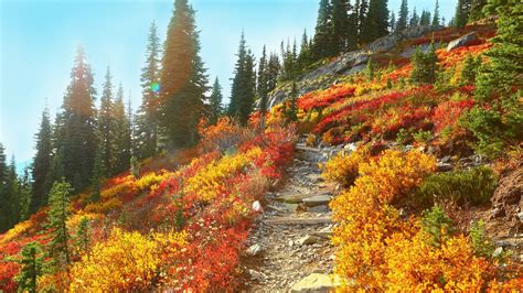 Autumn Hiking Wallpapers 4k Hd Backgrounds On Wallpaperbat