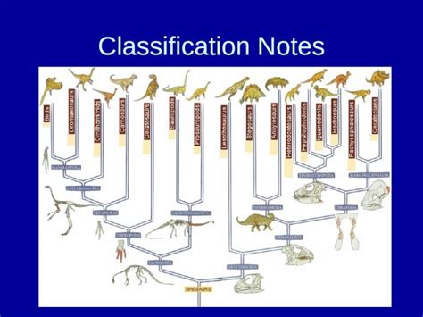 Ppt Classification Notes Taxonomy Naming And Grouping Organisms According To Their