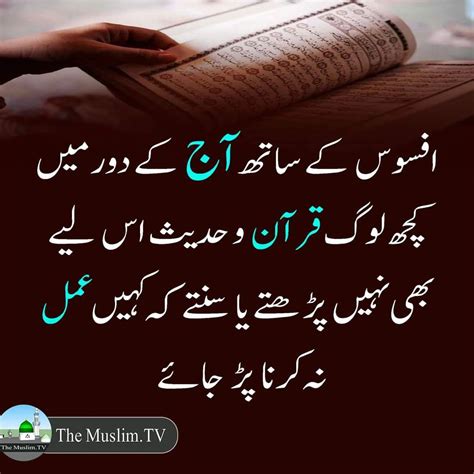 Shaiza Shoukat Posted On Linkedin