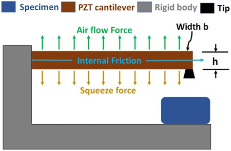 Damping Force Acting On The Pzt Transducer Oscillates In The Air Download Scientific Diagram