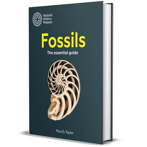 A History Of Life In 100 Fossils ²⁵ Bioweb Brasil