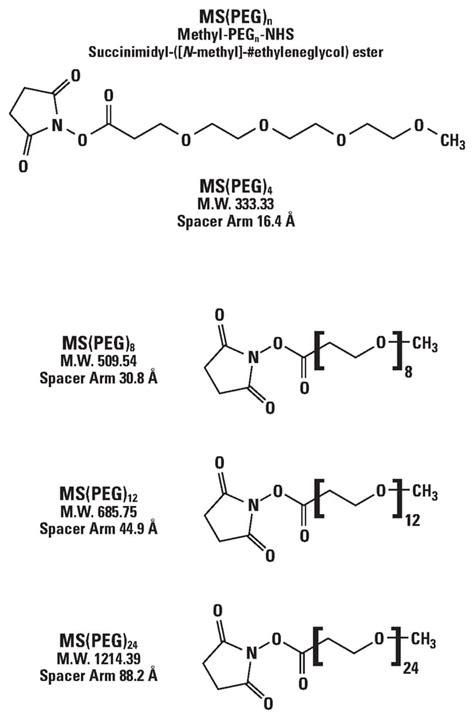 Thermo Scientific Mspeg4 Methyl Peg Nhs Ester Reagentprotein