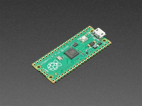 Raspberry pi Pico لوتوس مارکت