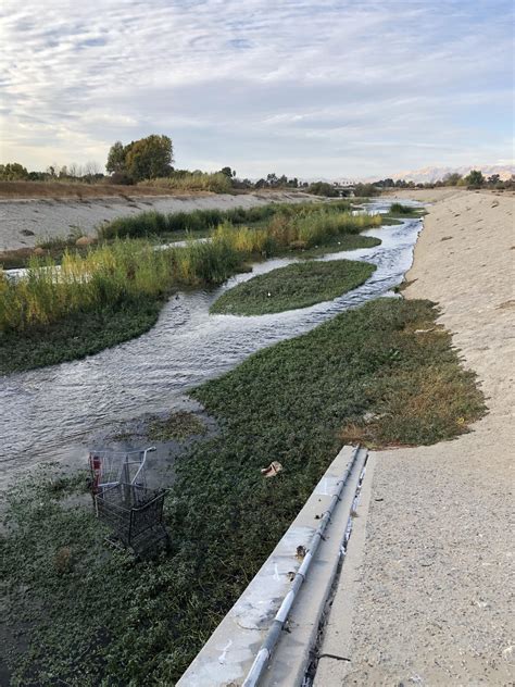 Restoration Of Los Angeles River And Tributaries In Sepulveda Basin