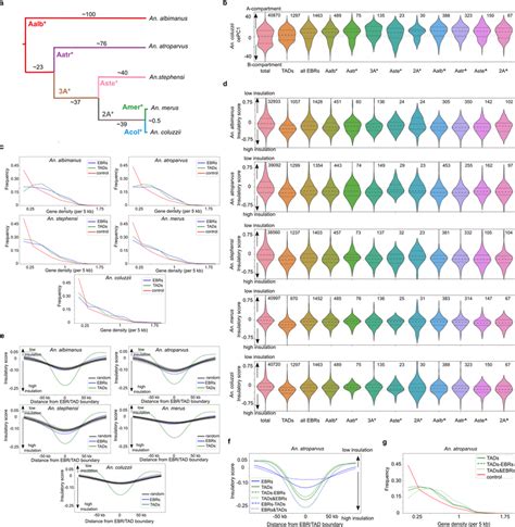 Evolutionary Comparison Of Spatial Genome Organization In Five