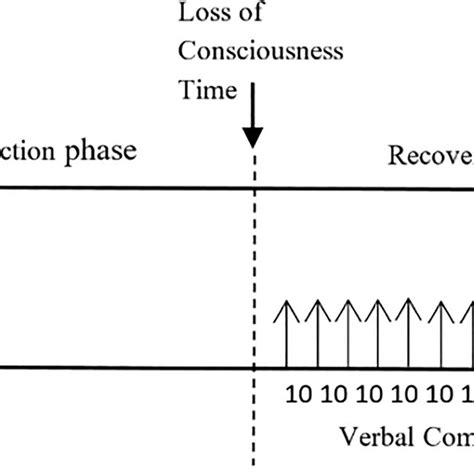 The Experimental Sequence Diagram With A Fixed Propofol Concentration