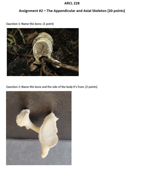 [solved] arcl 228 assignment 2 — the appendicular and axial skeleton