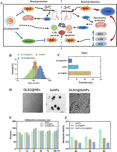 Protective Effect Of Spore Oil Functionalized Nano Selenium System On