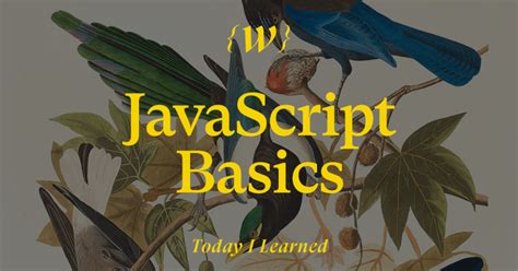 자바스크립트의 데이터 타입 Javascript Basics