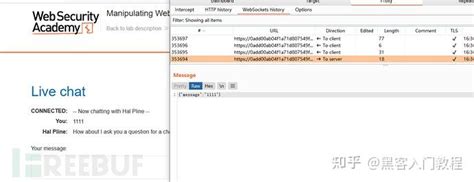 websocket安全性分析 知乎