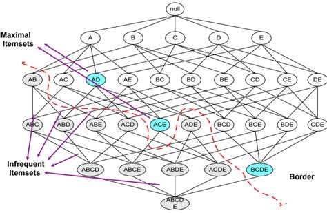 Other Association Rules Jays Domain