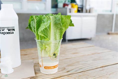 Santa Fe: The Shake Foundation - Female Foodie