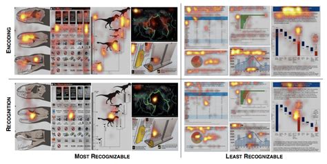 Explosive Eye Tracking Study To Help You Make Better Data