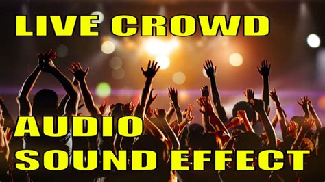Crowd Noise Effect At Amy Dieter Blog