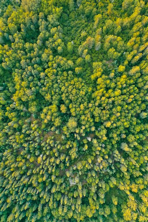 about drone topographic mapping services and experts