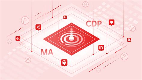 Cdpma 客户数据管理平台 秒针系统 营销实效管理专家