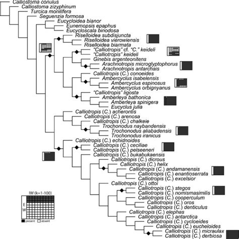 Results Of The Phylogenetic Analyses Results Are Summarized On The Download Scientific Diagram