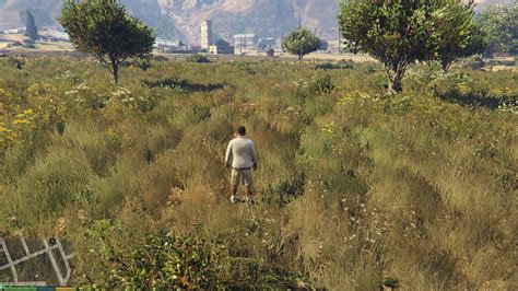Grass Density Is Less Increase Fps A Bit Gta5