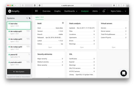 Analyzer NGINX Documentation
