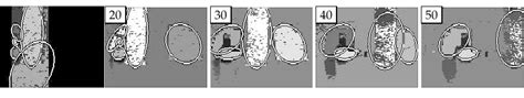 Color Segmentation Masks With Fitted Ellipses Overlayed In White Each