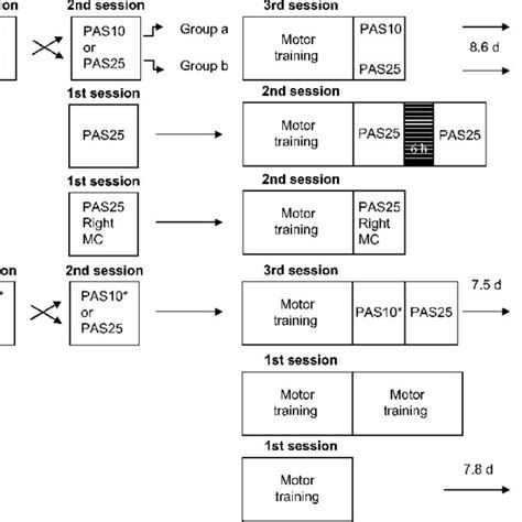 Experimental Protocols Schematic Diagram Of Protocols Used In Download Scientific Diagram