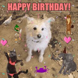 Birthday S Download And Share