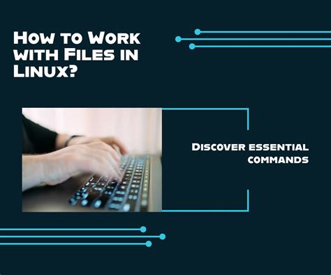 Adham Emad On Linkedin Linux Sysadmin Commandline Filemanagement