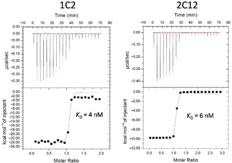Determination Of Dissociation Constant Kd Via Isothermal Titration
