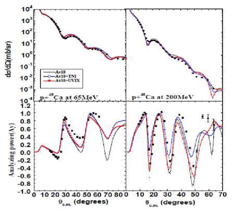 The Differential Cross Section And The Analyzing Power For P40 Ca