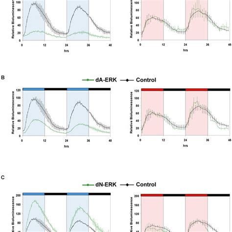 Impact Of Dominant Active And Dominant Negative Forms Of Mek And Erk On Download Scientific