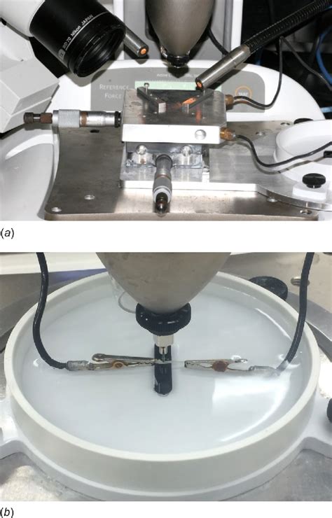 Figure 2 From Determination Of Elastic Modulus In Mouse Bones Using A