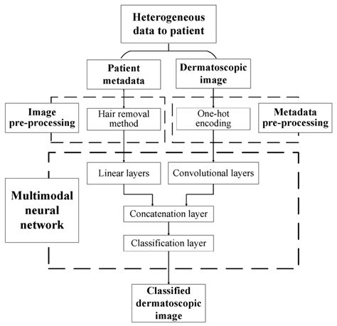 Multimodal Neural Network System For The Classification Of