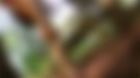 Bug Crush Porn Videos Clips4sale