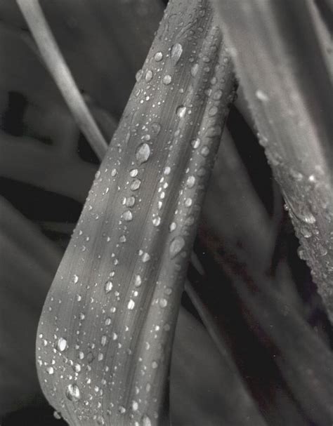 Julias Macro Shot By Death Pengwin On Deviantart