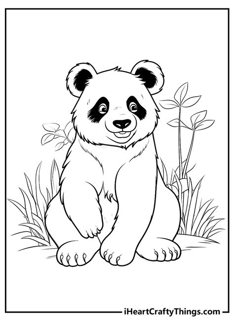 Panda Giant Coloring Pages Outline Bear Printable Drawing Pandas Color