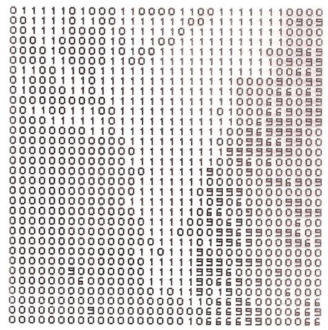 Figure Result Of Neuronal Segmentation Download Scientific Diagram
